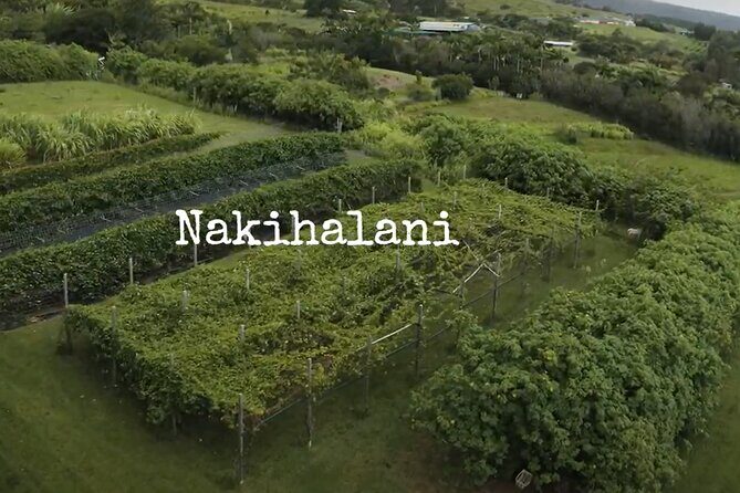 Hamakua Coast Farm Small-Group Walking and Tasting Tour - The Sum Up
