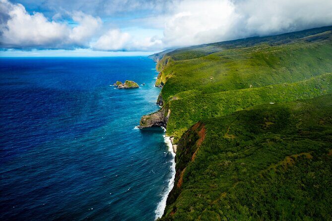 Hamakua Coast & Valleys Safari - An In-Depth Look at the Hamakua Coast & Valleys Safari