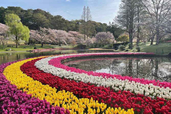 Hamamatsu Flower Park & Lake Hamana Private Tour with Public Bus - An In-Depth Look at the Itinerary