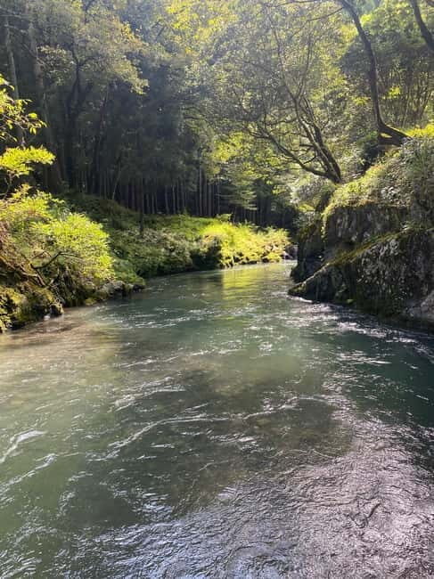 Hamamatsu Japan: Riverside Camping - Authentic Experience and Authenticity