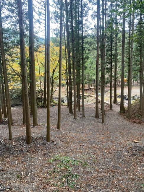 Hamamatsu Japan: Riverside Camping - Pricing and Value