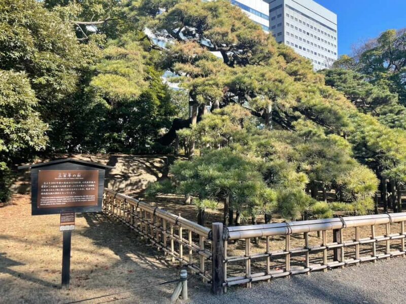 Hamarikyu - Ginza Park Tour - Uncovering the Hidden Leisure World of Edo at Hamarikyu - Ginza Park Tour