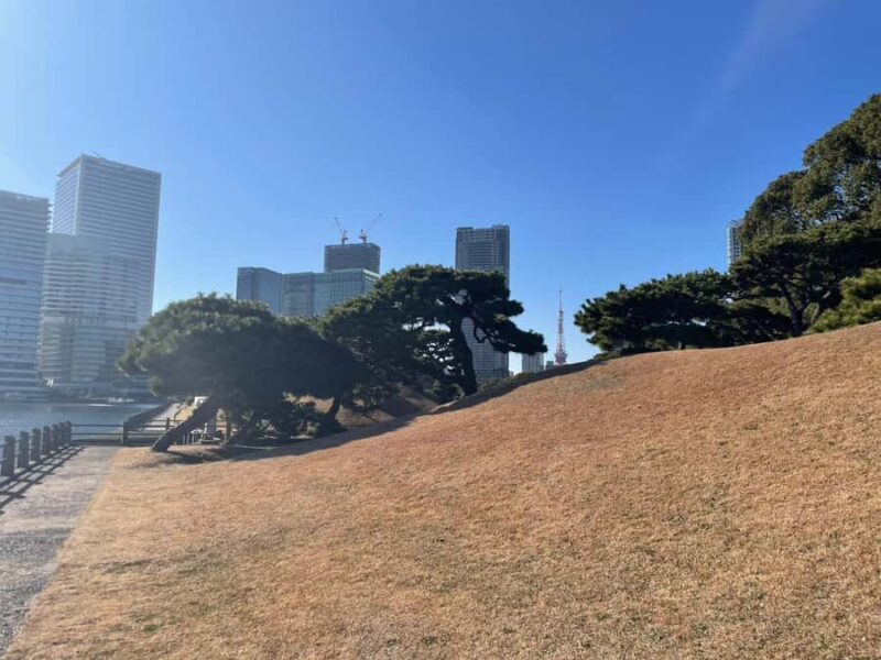 Hamarikyu - Ginza Park Tour - Key Points