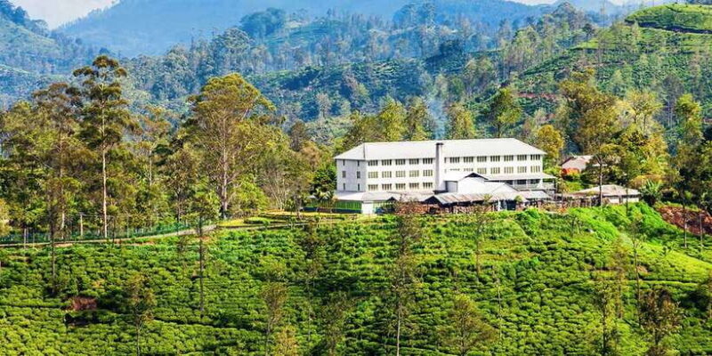 Hambantota/Tangalle/Hiriketiya: Ella Highlands Day Tour - The Itinerary in Detail: What to Expect from the Ella Highlands Tour