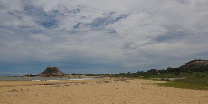 Hambantota: Yala National Park Wildlife Safari in a 4x4 - Practical Tips for Your Safari Experience