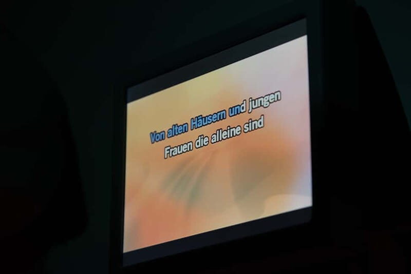 Hamburg: 1.5-Hour International Karaoke Bus Tour - Final Thoughts