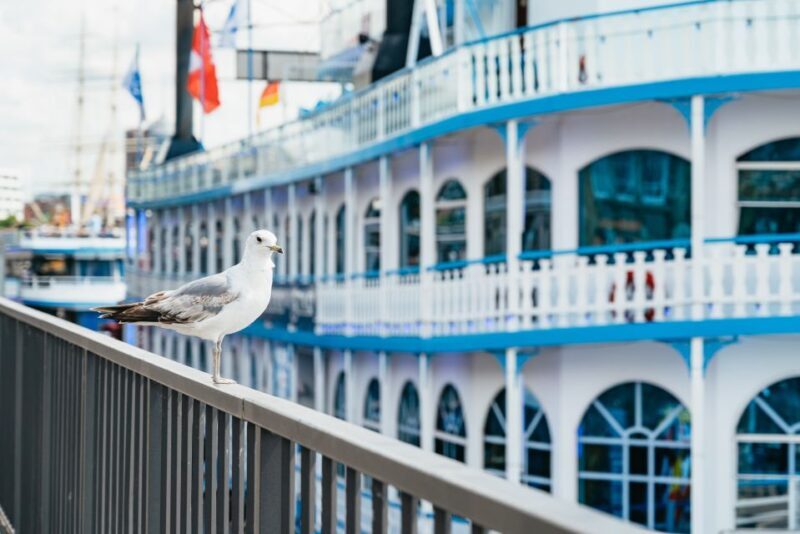 Hamburg: 1-Hour Harbor Sightseeing Cruise with HafenCity - Who Will Enjoy This Cruise?