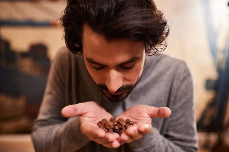 Hamburg: Chocoversum Guided Tour with Tastings - Practical Details & Why They Matter