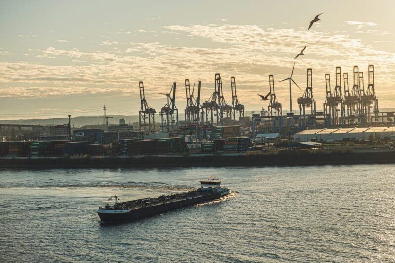 Hamburg: Der Hakuna Tag - Exploring Hamburg Through the Eyes of the Hakuna Tour