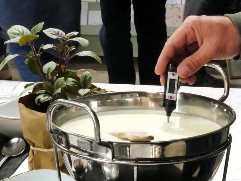 Hamburg: Mozzarella course with accompanying wines (Alte Schmiede Ottensen) - Key Points