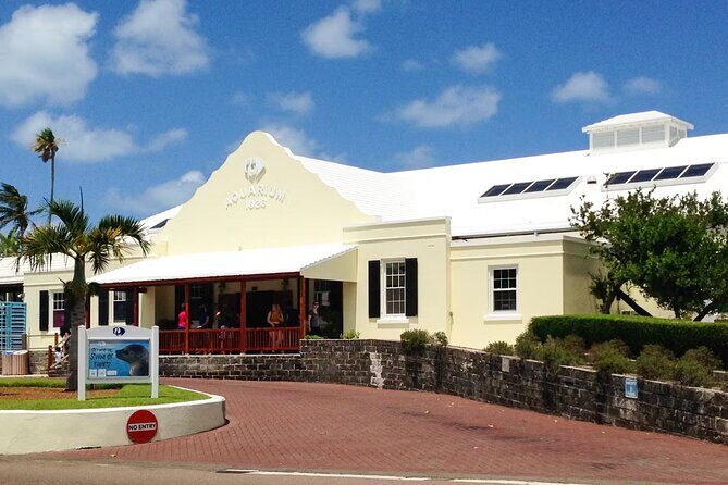 Hamilton and St George Sightseeing Tours - Who Is This Tour Best For?