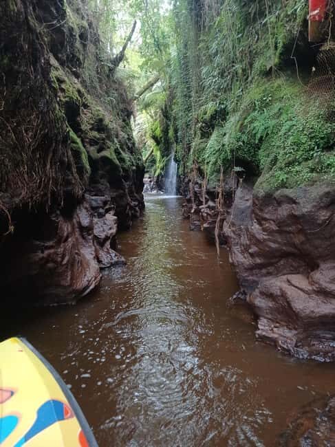 Hamilton Gardens - 30 min Ecological River Cruise - The Sum Up: Why It’s Worth Your Time