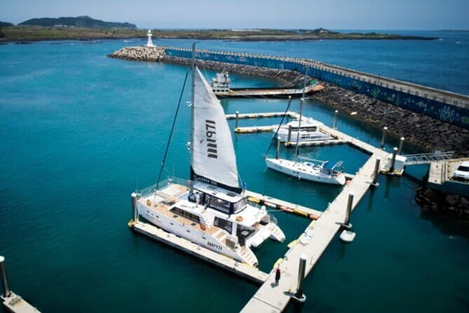 Hamo Yacht Cruise Dolphin Tour Ticket in Jeju - Key Points