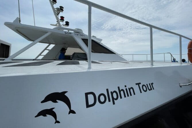Hamo Yacht Cruise Dolphin Tour Ticket in Jeju - A Deep Dive into the Experience