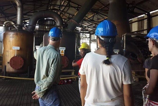 Hampden Estate Rum Tour and Lunch from Falmouth - Key Points