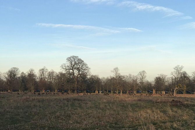 Hampton Court Palace Grounds Bike Tour - A Closer Look at the Itinerary