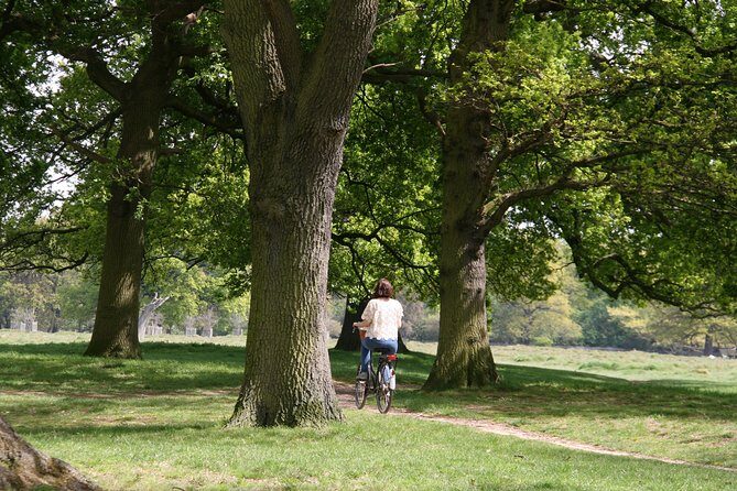 Hampton Court Palace Grounds Bike Tour - Authentic Feedback from Participants