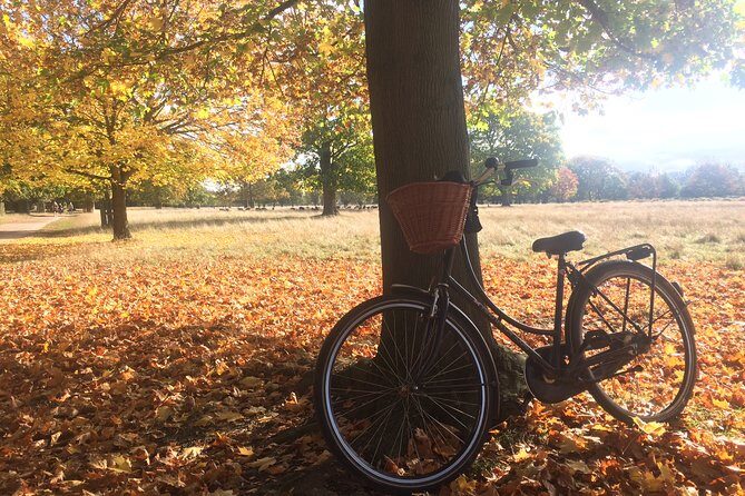 Hampton Court Palace Grounds Bike Tour - Frequently Asked Questions