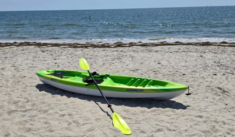 Hampton: Sit-on-Top Kayak Rental at Buckroe Beach - An Authentic Look at the Experience