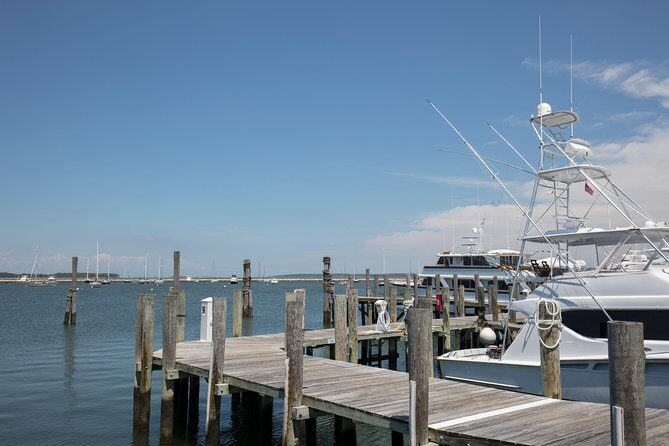 Hamptons, Sag Harbor & Outlet Shopping, 1-Day Tour from NYC - The Sum Up