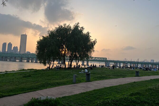 Han River sunset Chicken & Karaoke Private Tour - Final Thoughts
