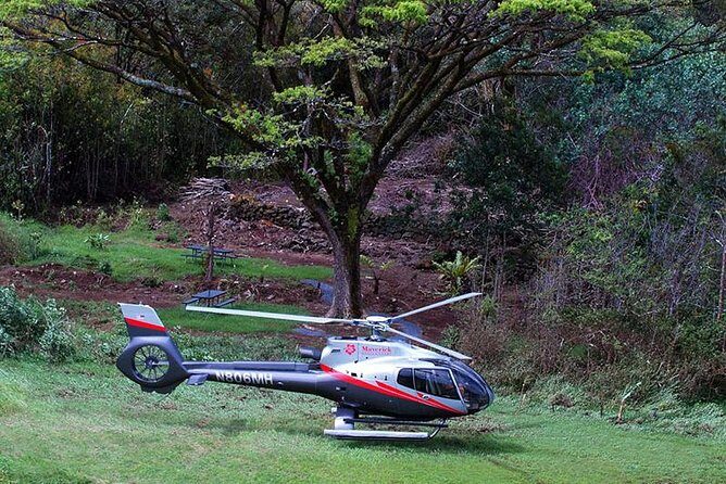 Hana Rainforest Helicopter Flight with Landing from Maui - Who Will Love This Tour?