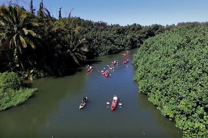 Hanalei Bay Morning Kayak and Snorkel Tour - The Experience’s Value and Why It Matters