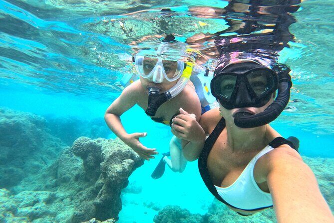 Hanauma Bay Guided Snorkel Tour (with guaranteed entrance time) - FAQ