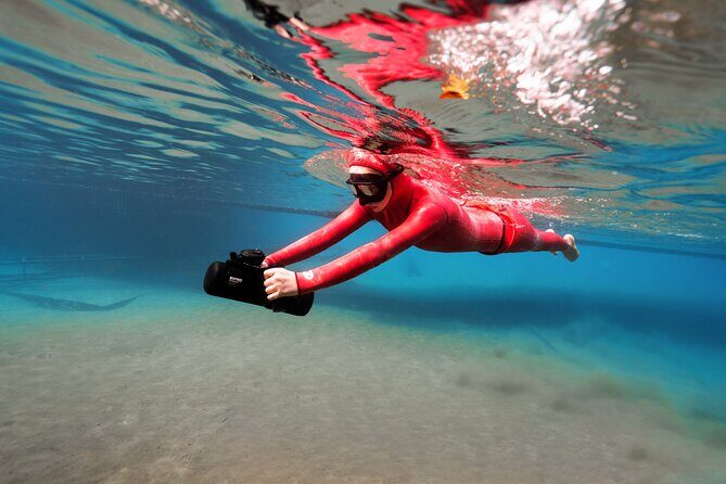 Hanauma Bay Snorkeling Reservation+Equipment Rental - Introduction: Is This the Easy Fix for Hanauma Bay?
