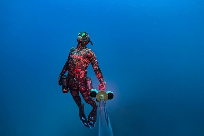 Hanauma Bay Snorkeling Reservation+Equipment Rental - What Makes This Tour Worth Considering?