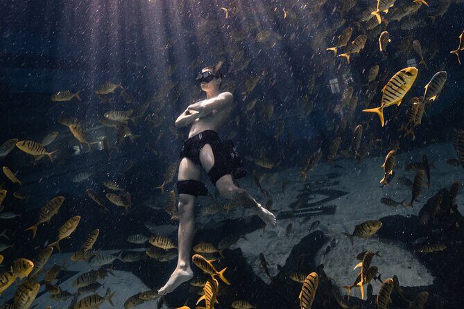 Hanauma Bay Snorkeling Reservation+Equipment Rental - Who Should Consider This Tour?