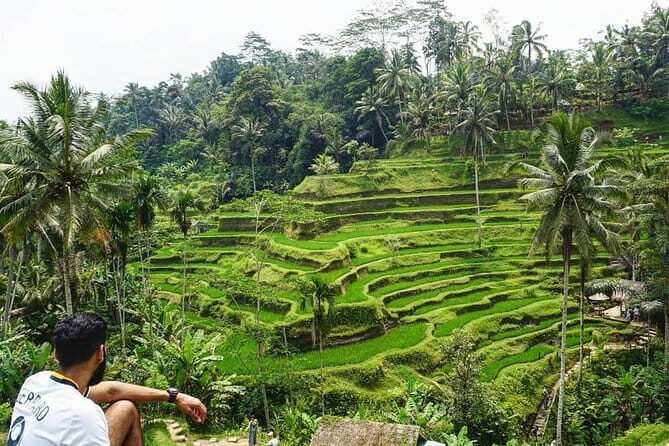 Handara Gate, Bratan Temple & Insta Spots - Who Is This Tour Best For?