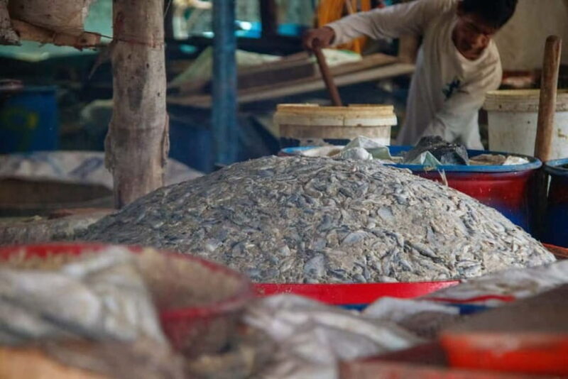 Handicraft tour/rice paper,/rice wine/bat cave Sun Set - FAQ