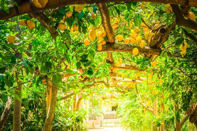 Hands-On Cooking Class & Farmhouse Tour on the Amalfi Coast - FAQ