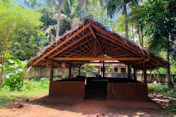 Hands-On Cooking Class in Anuradhapura-Cook Like a Local - A Look at the Experience