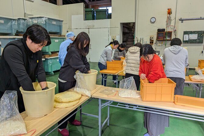 Hands-on History: Make Your Own Miso at a 240-Year-Old Brewery - Key Points