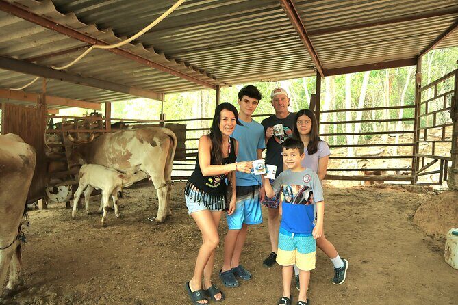 Hands-on Mexican Farm Experience: from Cow to Cheese - Hands-on Mexican Farm Experience: from Cow to Cheese — A Genuine Taste of Rural Mexico