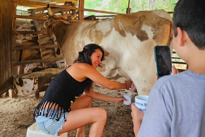 Hands-on Mexican Farm Experience: from Cow to Cheese - FAQ