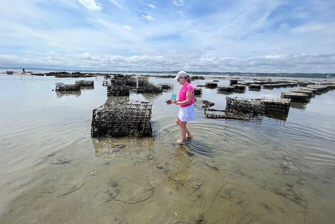 Hands-On Oyster Farm Experience in Plymouth - Stop 1: Nursery at Plymouth Bay