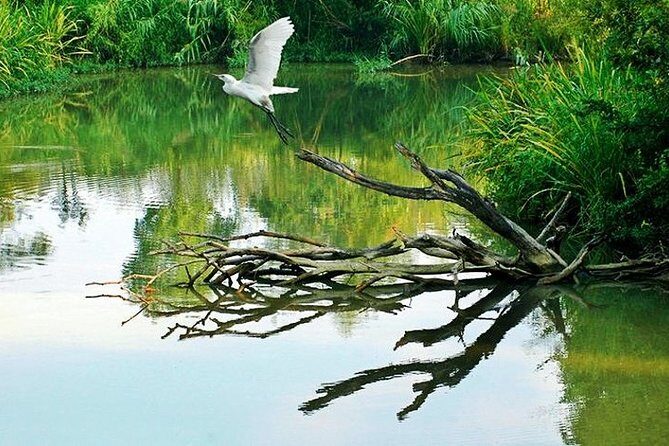 Hanghzhou Xixi Wetland Half Day Tour with Boat Ride - Why Choose This Tour?