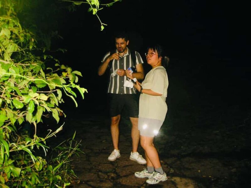 Hangzhou After Dark: Baoshi Hill for the Adventurous - An Authentic Nighttime Journey in Hangzhou