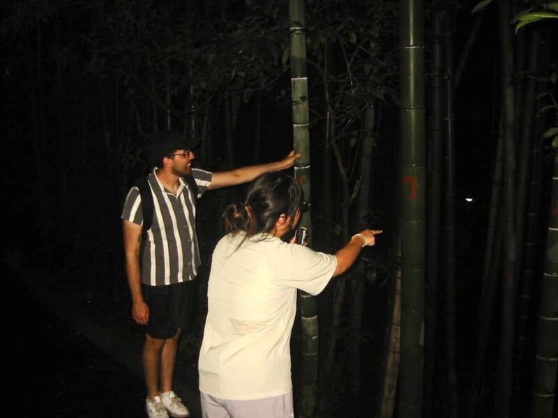 Hangzhou After Dark: Baoshi Hill for the Adventurous - FAQs