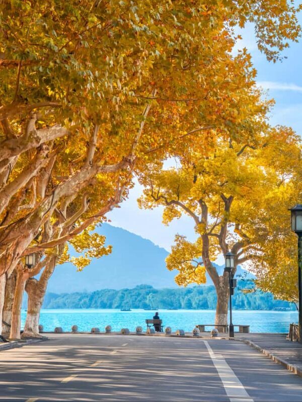 Hangzhou: Ancient to Future Private Day Tour with Boat Ride - Introduction to the Hangzhou Tour