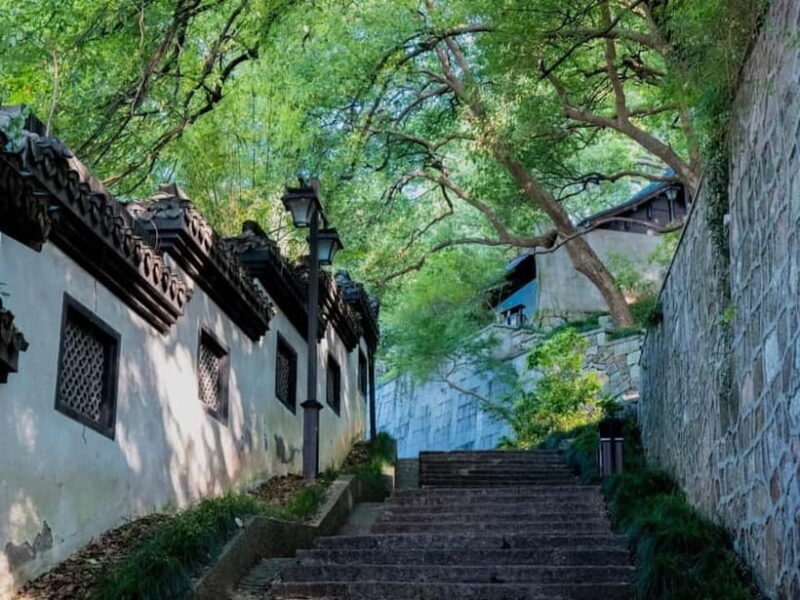 Hangzhou Insider Mini-Hike: TCM, Hill Views and Wet Market - The Scenic Hill Trail and Panoramic Views