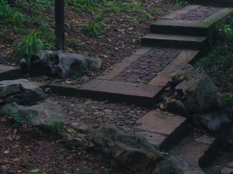 Hangzhou Insider Mini-Hike: TCM, Hill Views and Wet Market - The Bustling Wet Market