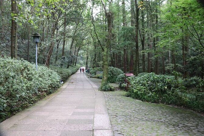 Hangzhou Jiuxi and Tea Village Hiking Trip from Shanghai By Train - Who Is This Tour Best For?