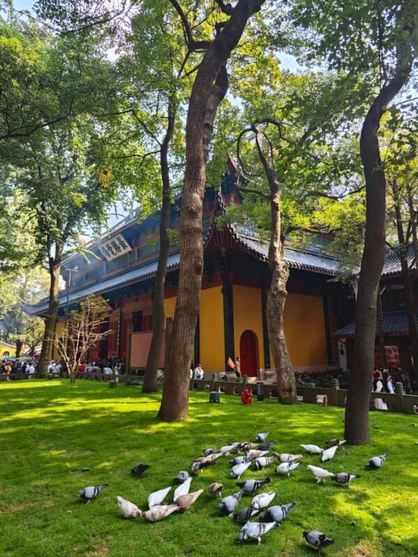 Hangzhou: Lingyin Temple, West Lake & Xiaohe Block - Who Will Enjoy This Tour?