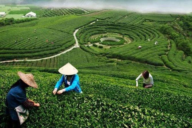 Hangzhou Private Customized Day Trip from Shanghai by Bullet Train - FAQs