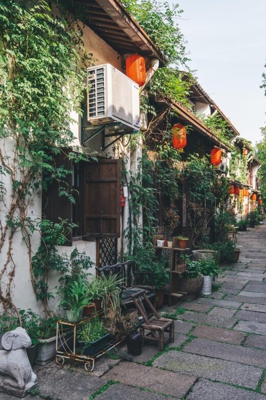 Hangzhou: Private Customized Tour of City's Top Sights - Visiting Lingyin Temple and Feilai Peak