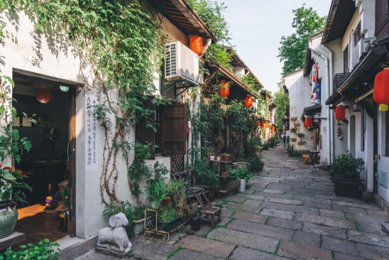 Hangzhou: Private Customized Tour of City's Top Sights - Lunch and Afternoon Options